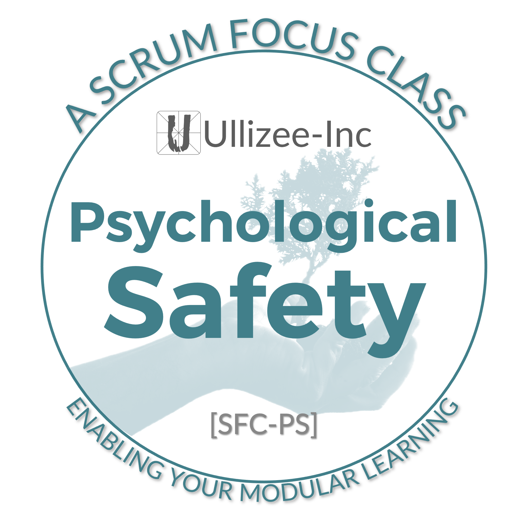 [SFC-PS#] Psychological Safety Series Badge (Pic, Part white) – Ullizee ...